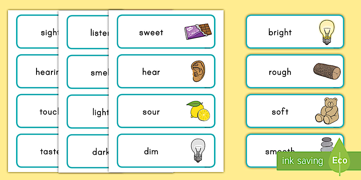 Five Senses Word Cards - Twinkl