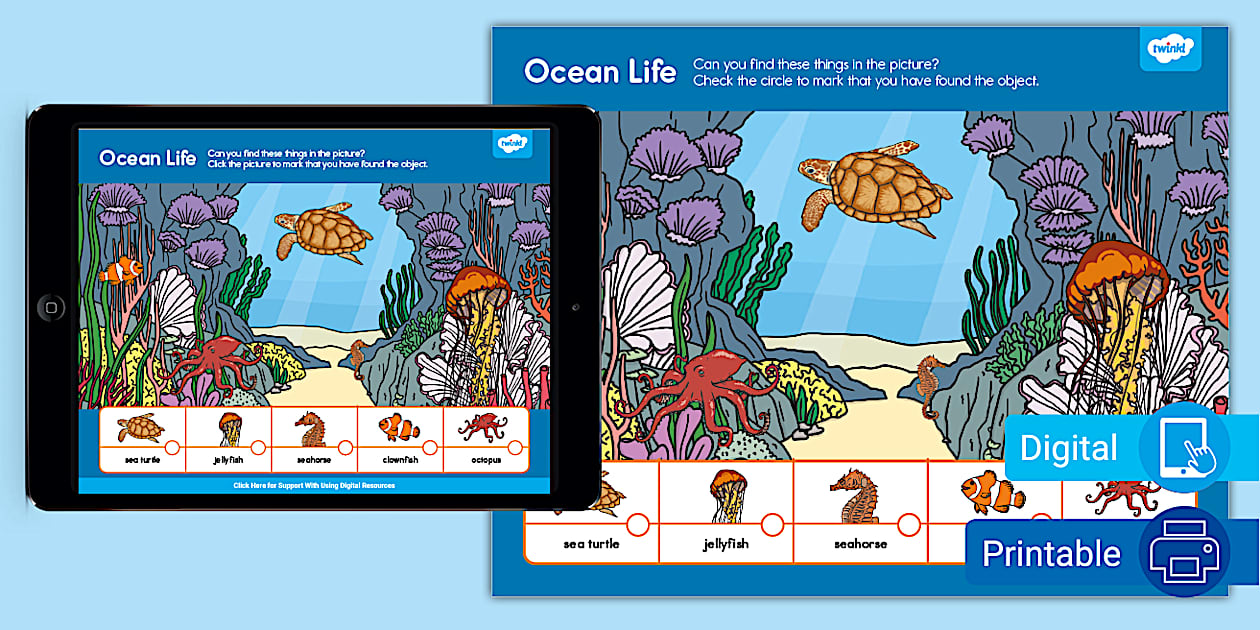Ocean Life Search & Find | ELA Resource | Twinkl USA