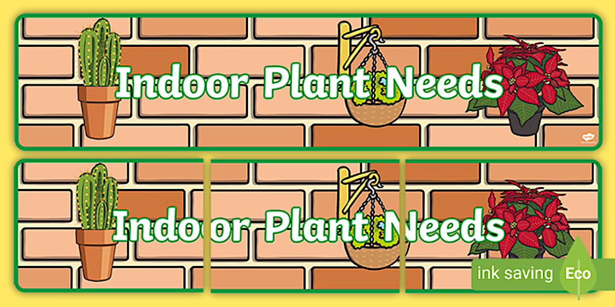 Indoor Plants Needs Banner (Teacher-Made) - Twinkl