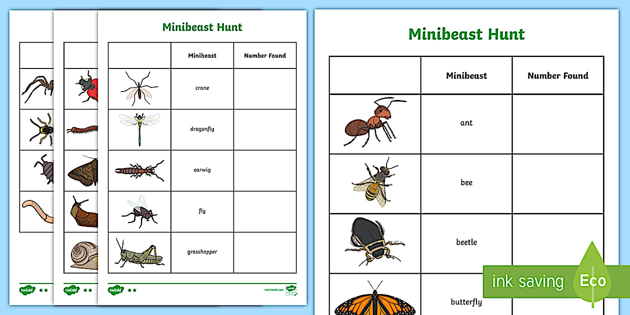 Higher Ability Minibeast Hunt Tally Sheet - Twinkl