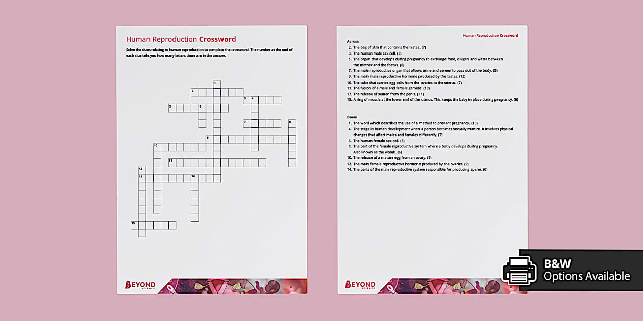 KS3 Human Reproduction Crossword (teacher made) - Twinkl
