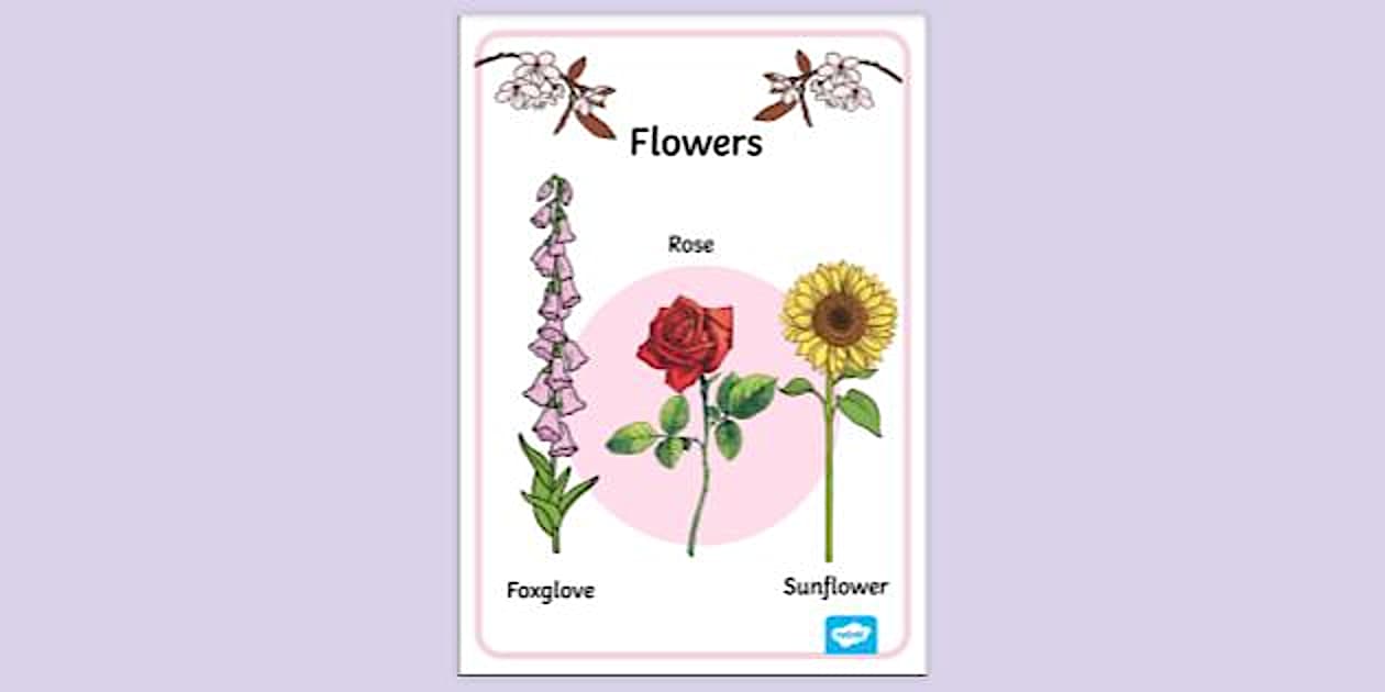 Printable Flower Poster For Kids | Displays | Resources