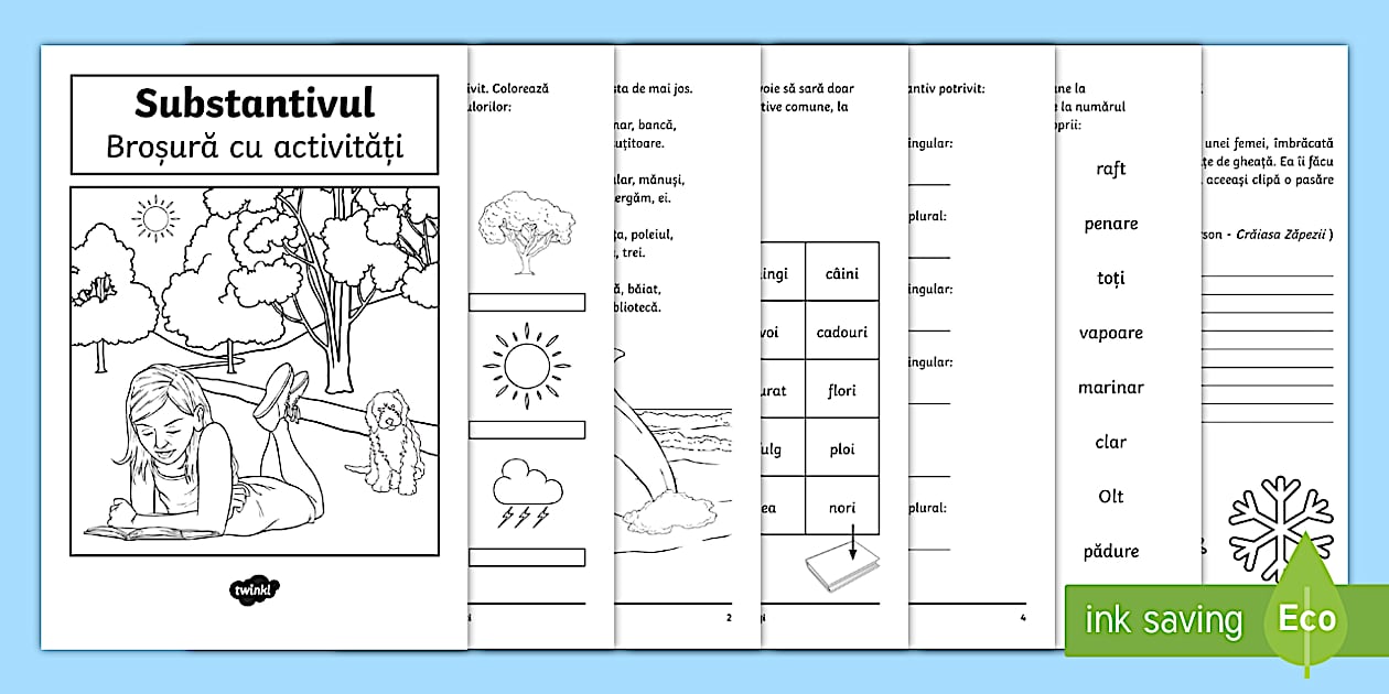 Substantivul – Broșură cu activități - Twinkl