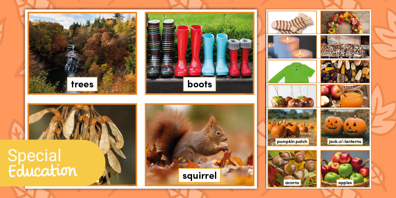 Nonverbal Communication Cards: Fall Season (teacher made)