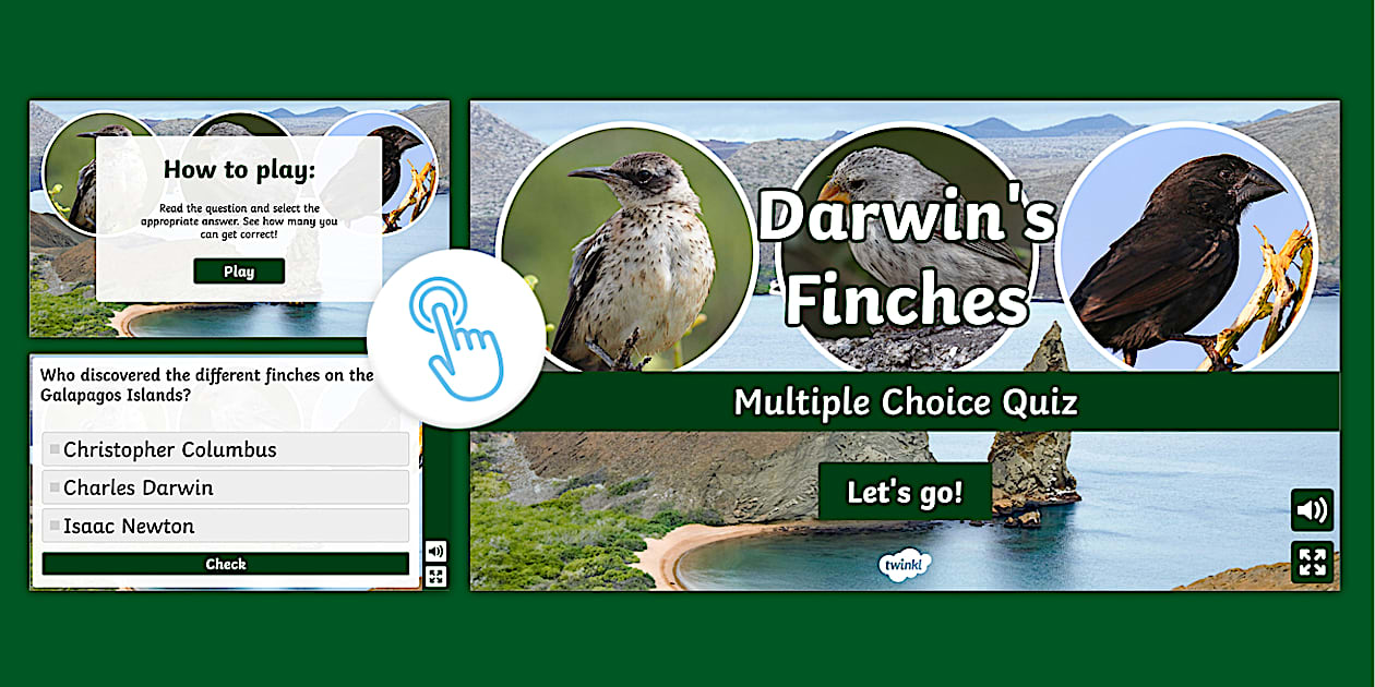 Darwin's Finches Interactive Quiz for 6th-8th Grade - Twinkl