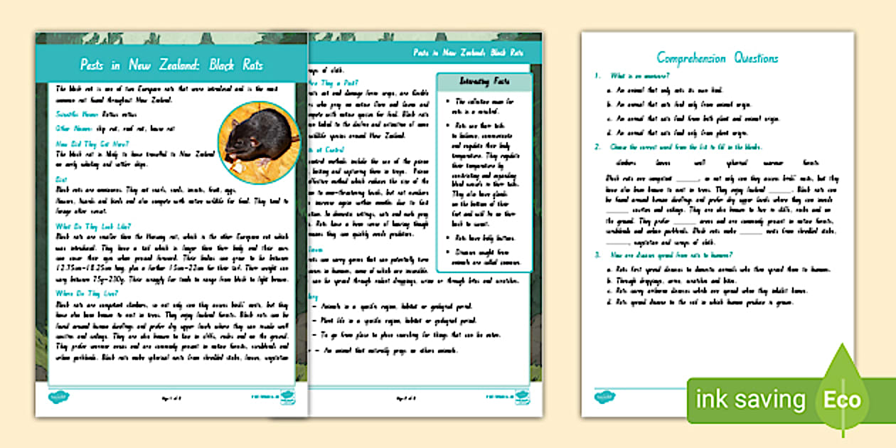 Pests in New Zealand: Black Rats Fact File (Teacher-Made)
