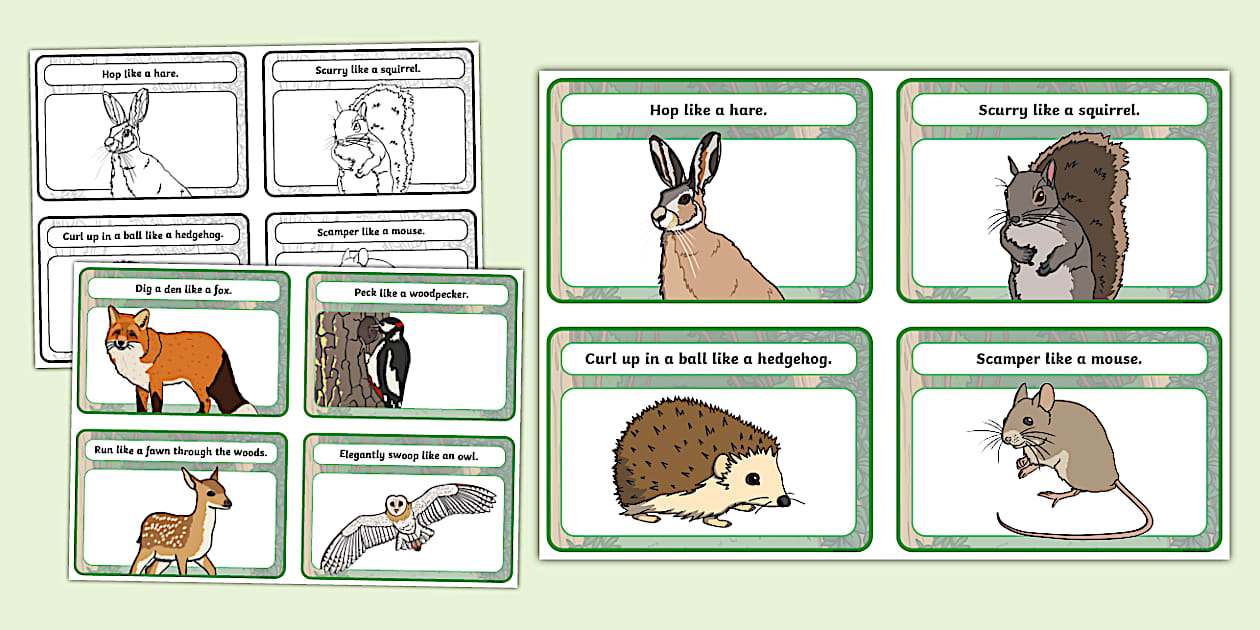 Woodland Creatures Brain Break Action Cards (teacher made)