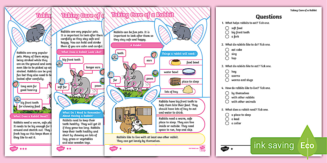 KS1 How to Look After a Rabbit Differentiated Reading Comprehension ...
