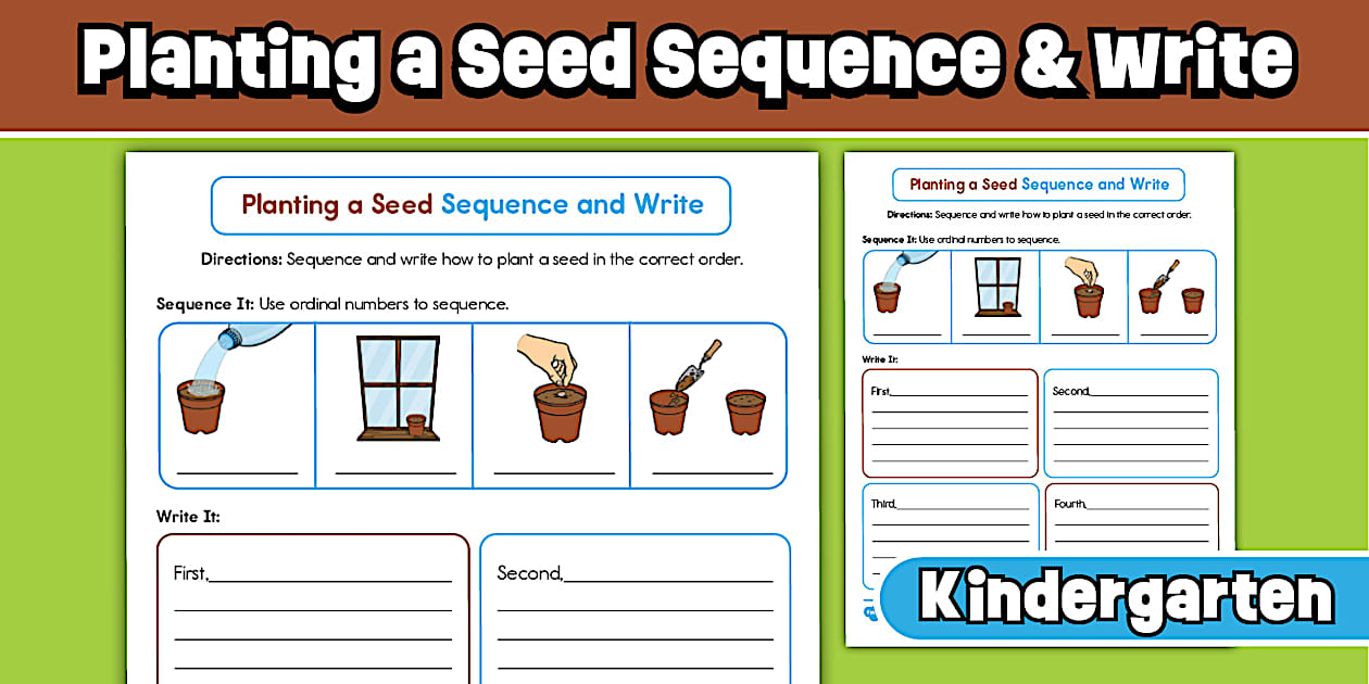 Kindergarten Planting a Seed Sequence and Write Worksheet