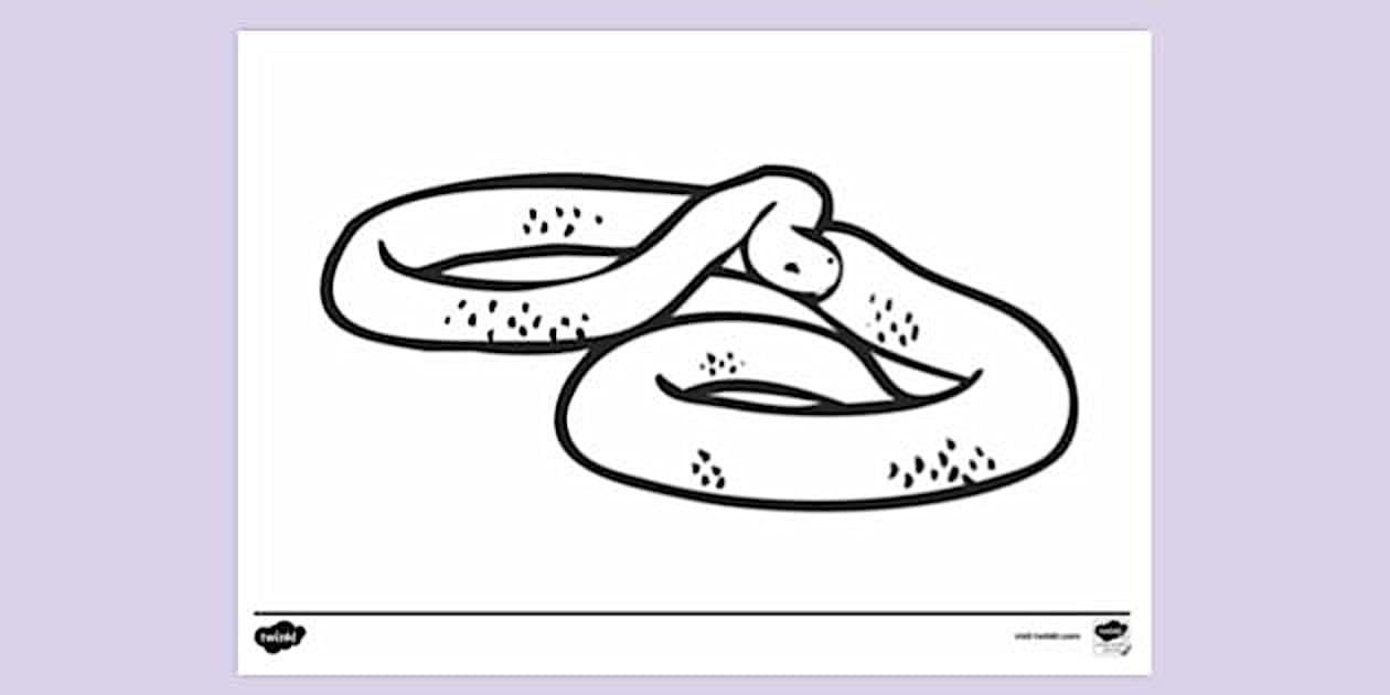 King Brown Snake for Drawing Page Colouring Sheet Colouring | Colouring ...