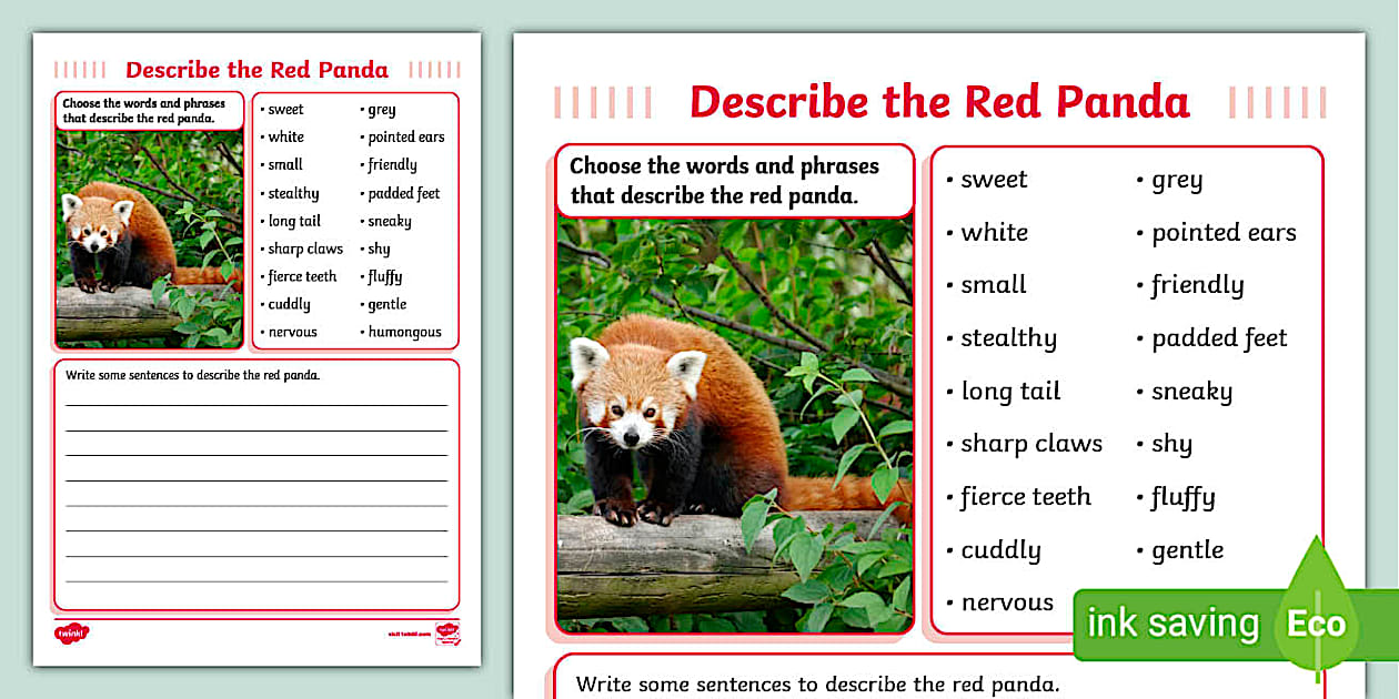 Describe the Red Panda Writing Worksheet, Red Panda - Twinkl