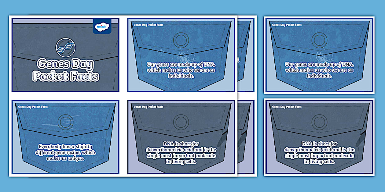 Genes Day Pocket Facts (teacher made) - Twinkl