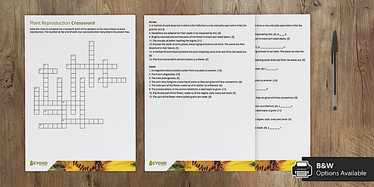 KS3 Plant Reproduction Crossword | Biology | Beyond - Twinkl