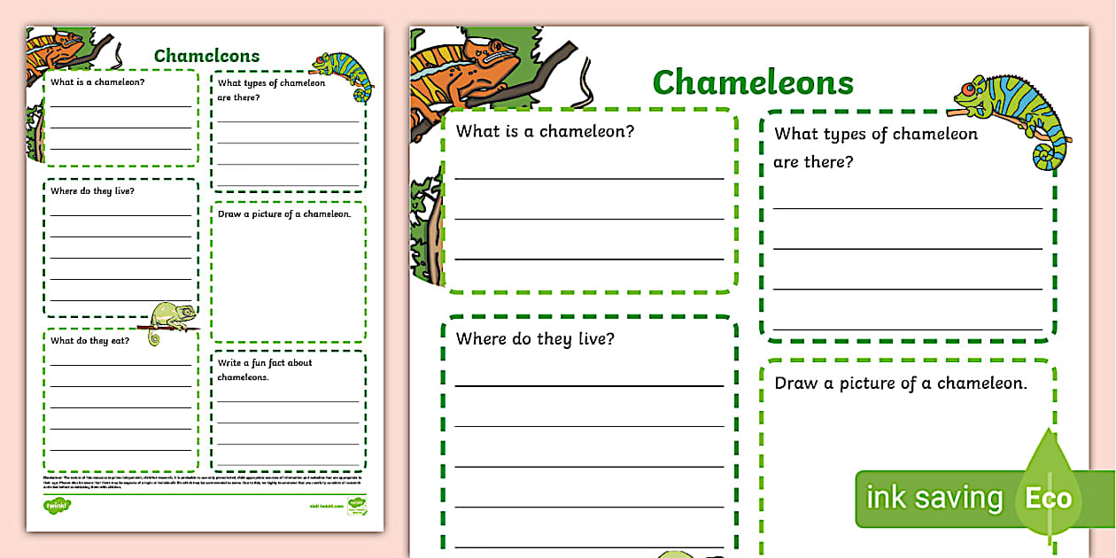 Chameleon Fact File Template - Twinkl - KS1 (Teacher-Made)