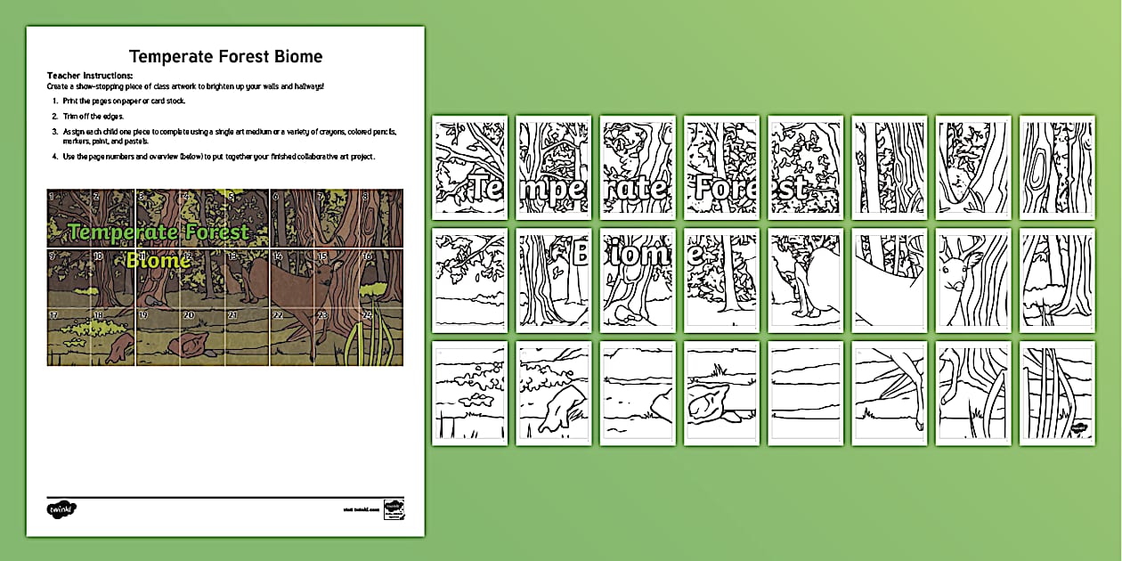 Temperate Forest Biome Collaborative Art Pack (Teacher-Made)