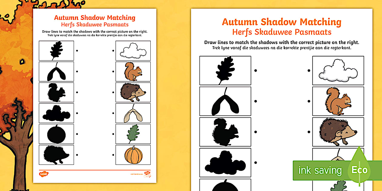Autumn Shadow Matching Worksheet English/Afrikaans - Twinkl