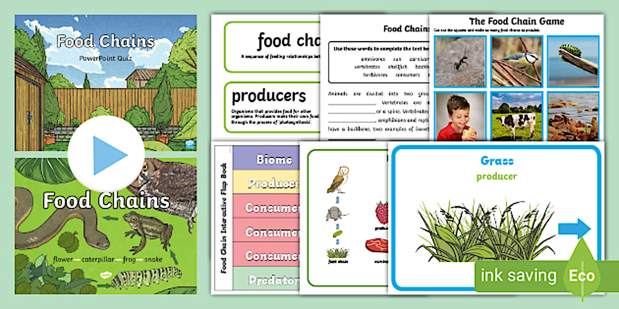 Food Chains | KS2 Activity Pack - Primary Resources - Twinkl