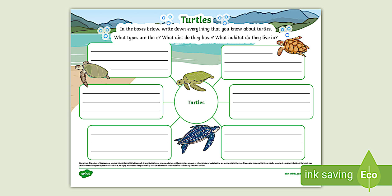 Turtles Mind Map (profesor hizo) - Twinkl