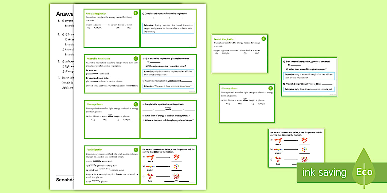 Biology Equation Revision Flashcards (teacher made) - Twinkl