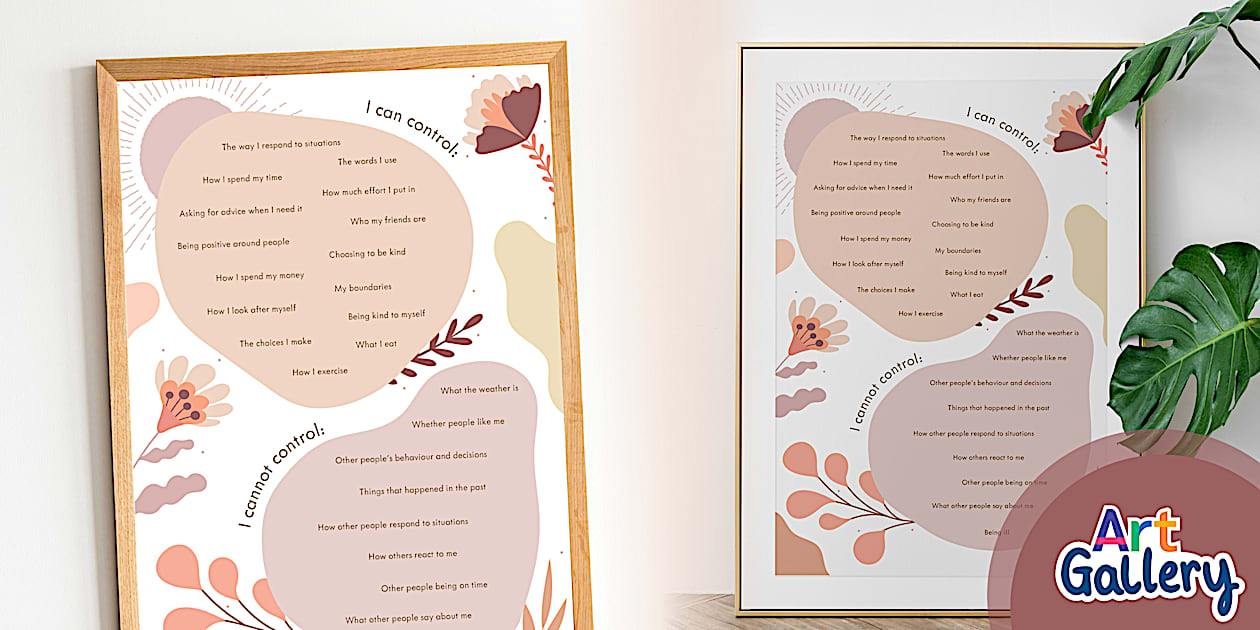 What I Can and Cannot Control Poster | Twinkl Art Gallery