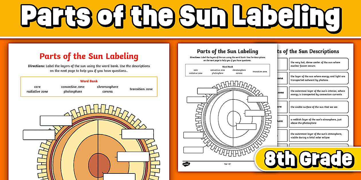 Eighth Grade Parts of the Sun Labeling Worksheet