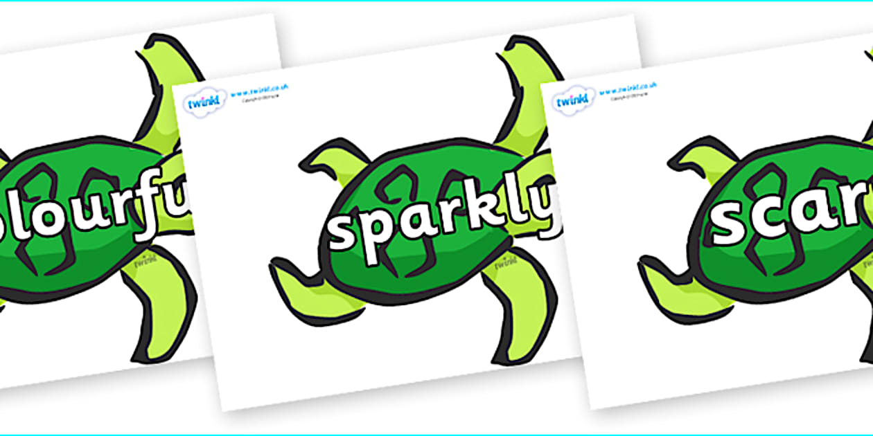 Wow Words on Turtles (teacher made) - Twinkl