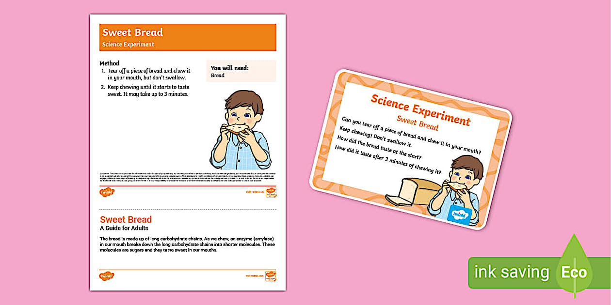 EYFS Sweet Bread Science Experiment and Prompt Card Pack