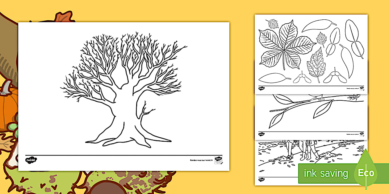 Coloriage arbre automne | Ressources pédagogiques