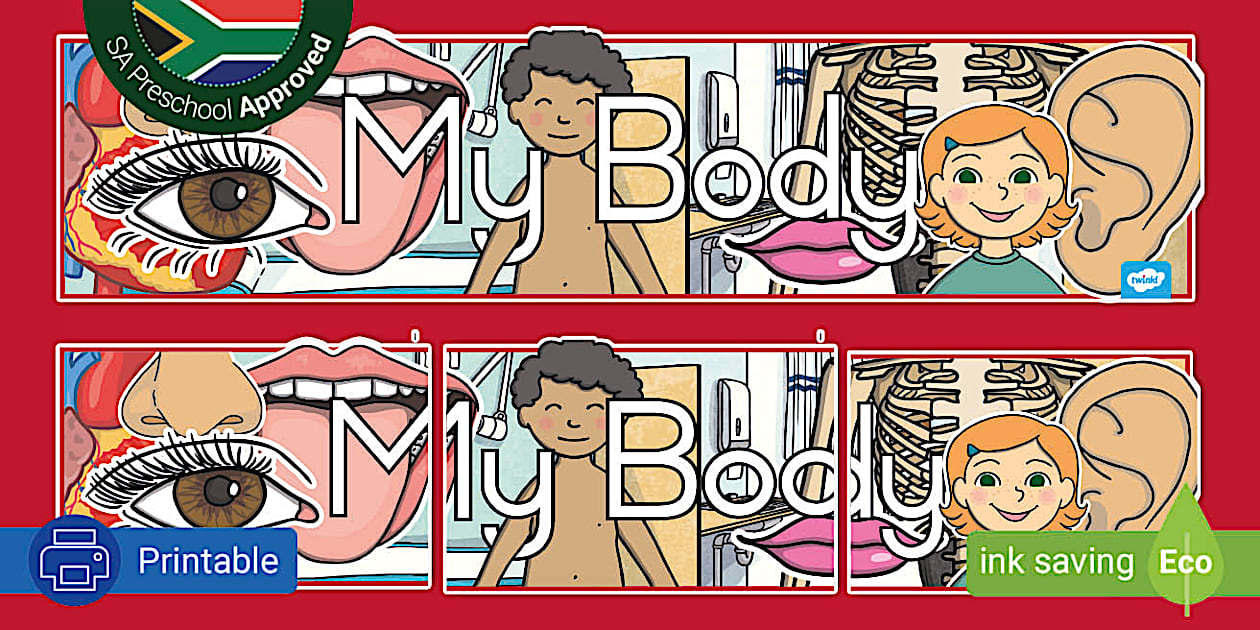 My Body Display Banner - Twinkl South Africa (teacher made)