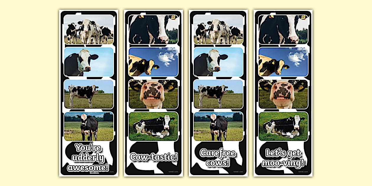 Cow Photo Strip Bookmarks (teacher made) - Twinkl