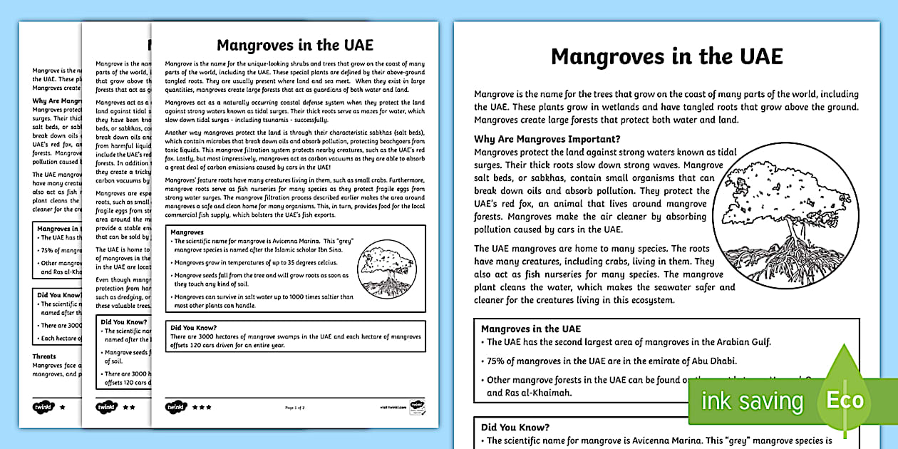 UAE Mangroves Differentiated Fact File - Twinkl
