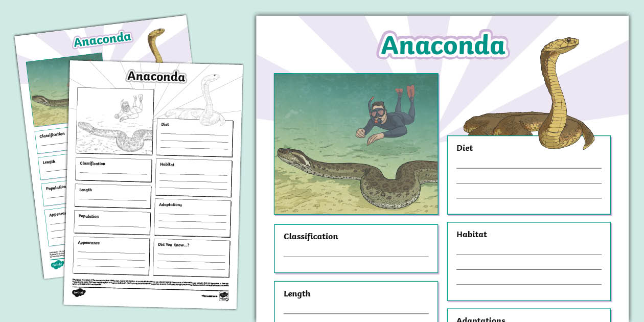 Anaconda Fact File Template (Teacher-Made) - Twinkl