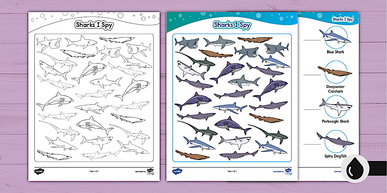Sharks in Canada I Spy Activity (teacher made) - Twinkl