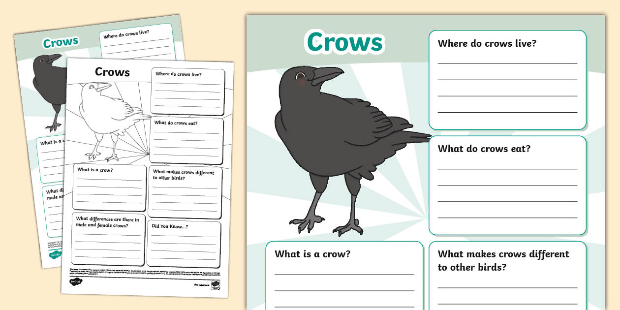 Crows Fact File Template - Twinkl Animals (teacher made)