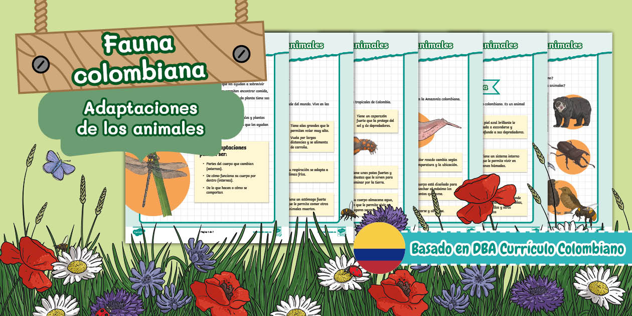 Infografía de Animales para Niños - Twinkl Colombia