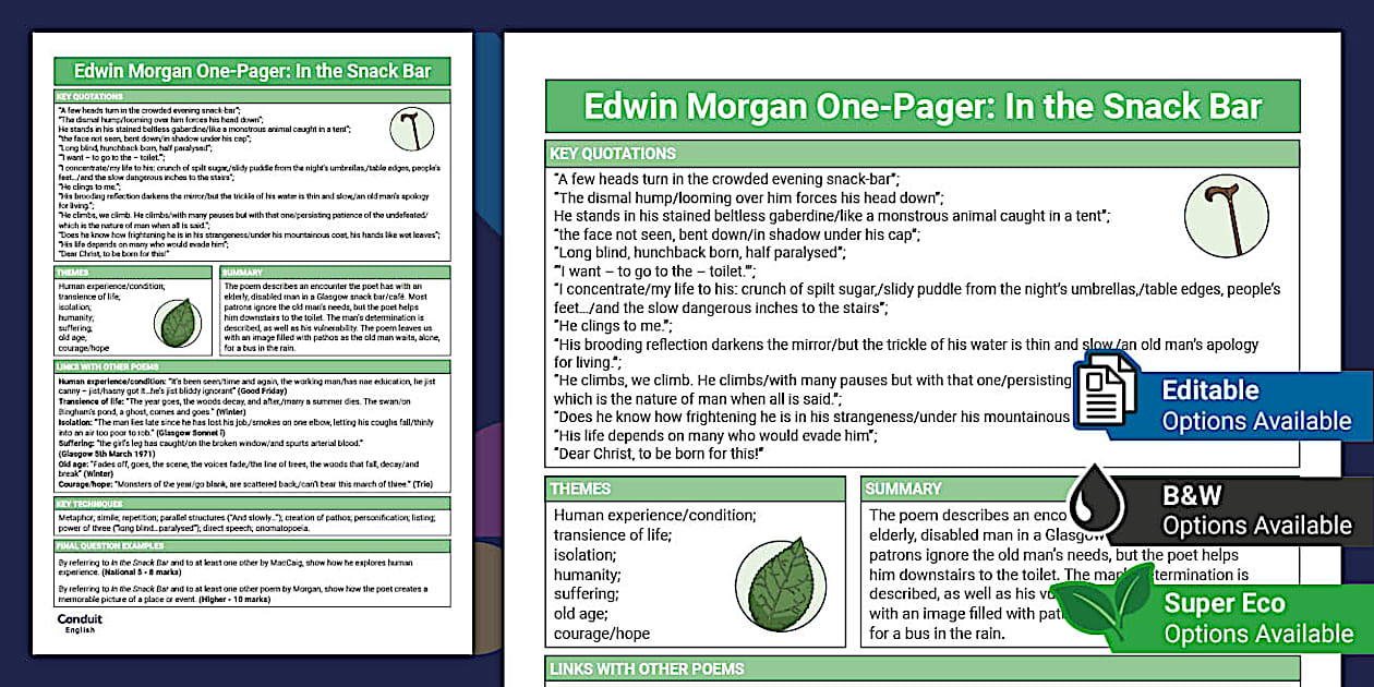 Edwin Morgan One-Pager: In the Snack Bar (teacher made)