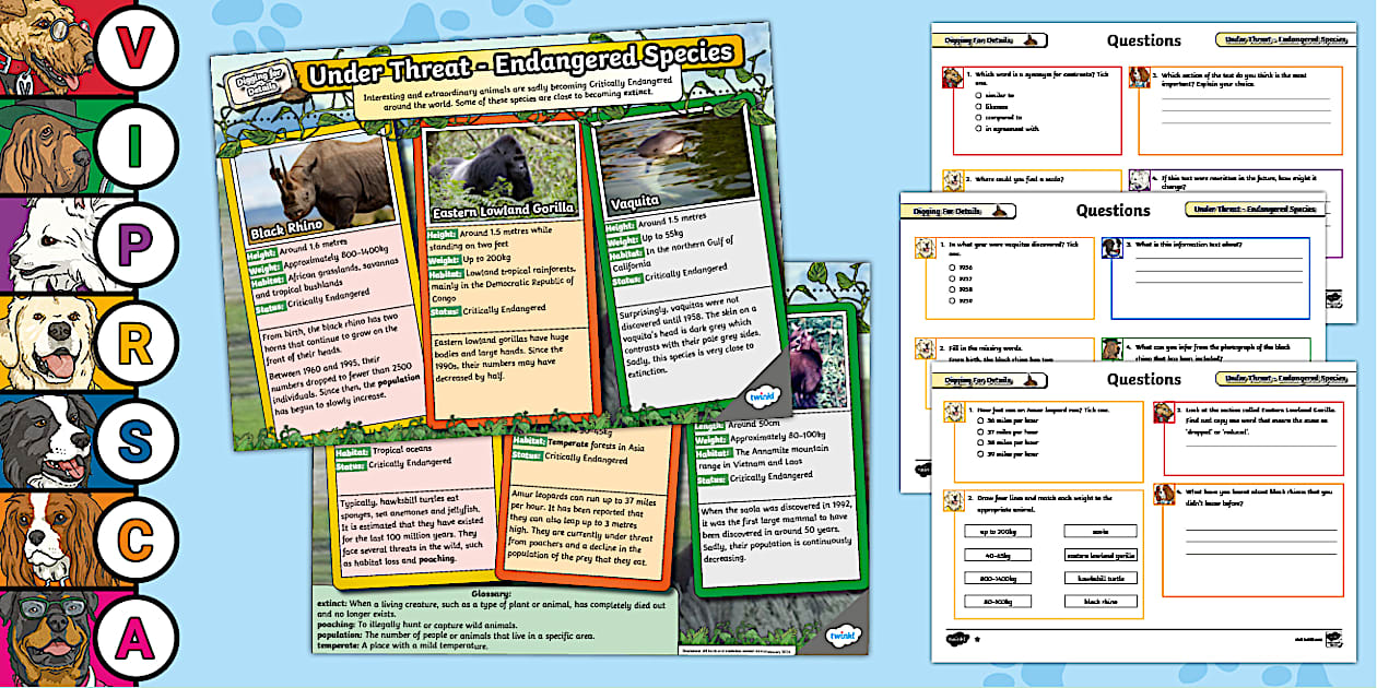 LKS2 Digging for Details: Endangered Species Infographic