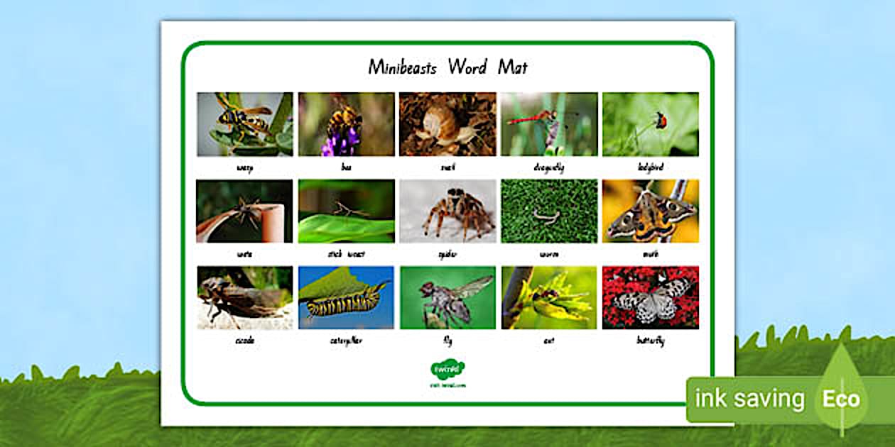 Cursive New Zealand Minibeasts Photo Word Mat (teacher made)