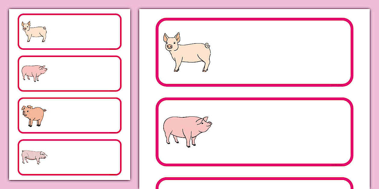 Editable Funny Pig Drawer, Peg, Name Labels - Twinkl