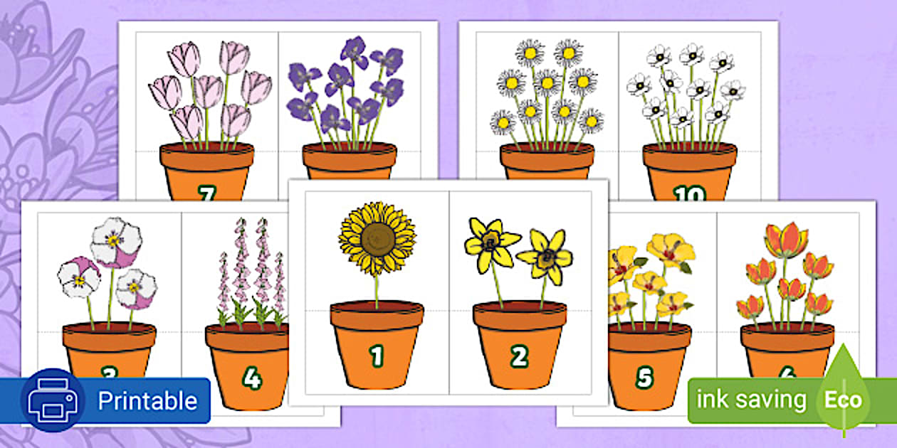 Flowers for Mother's Day Matching Numbers Game - Twinkl