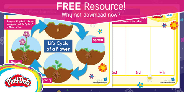 FREE Play-Doh: Life Cycle of a Flower Sequencing Activity Mats