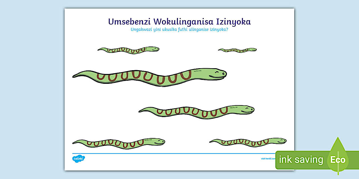 Measuring Snakes Activity- Umsebenzi Wokulinganisa Izinyoka