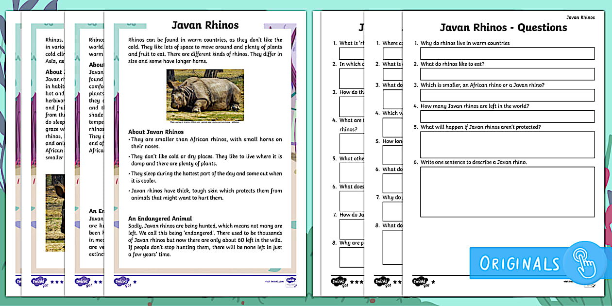 First Level Javan Rhinos Differentiated Comprehension Go Respond ...