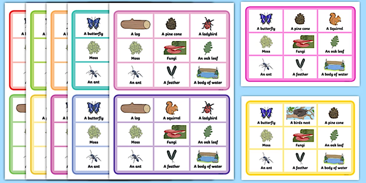 Nature Bingo Summer Activity Pack | Seasons Bingo - Twinkl