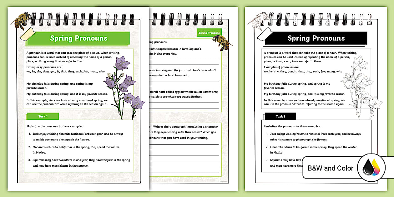 Spring Pronouns Worksheet | Spring Resources | Twinkl USA