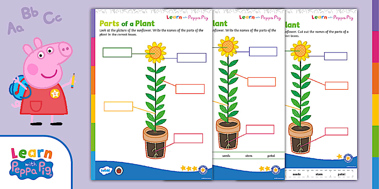 FREE! - Peppa Pig: Parts of a Plant Activity Sheet - Twinkl