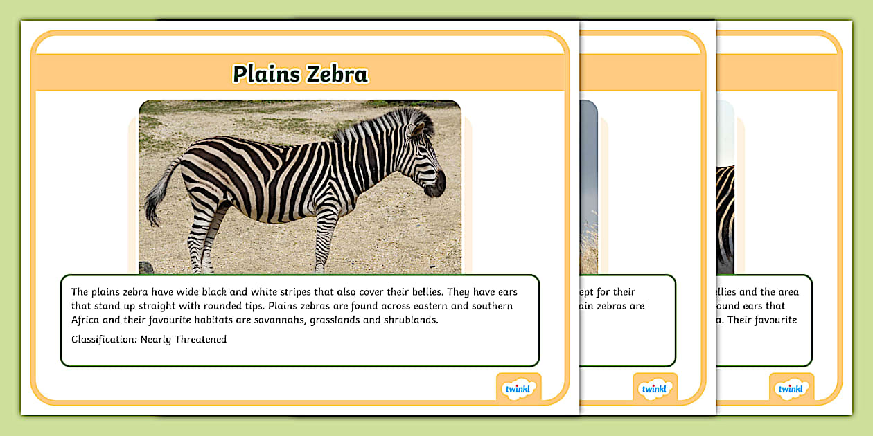 Zebra Species Photo Posters (Teacher-Made) - Twinkl