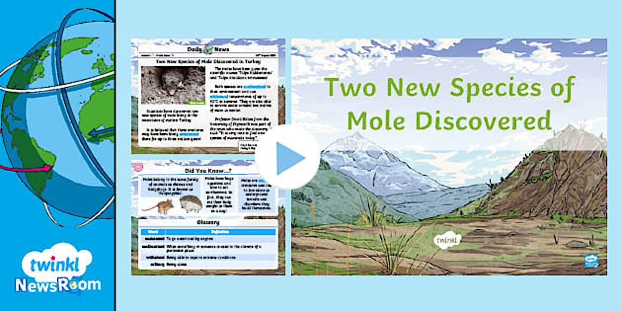 Two New Species of Mole Discovered | Twinkl NewsRoom