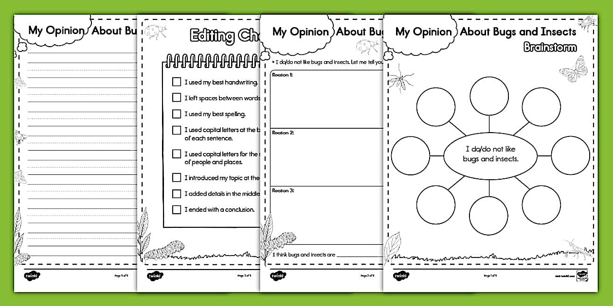 First Grade My Opinion About Bugs and Insects Writing Prompt