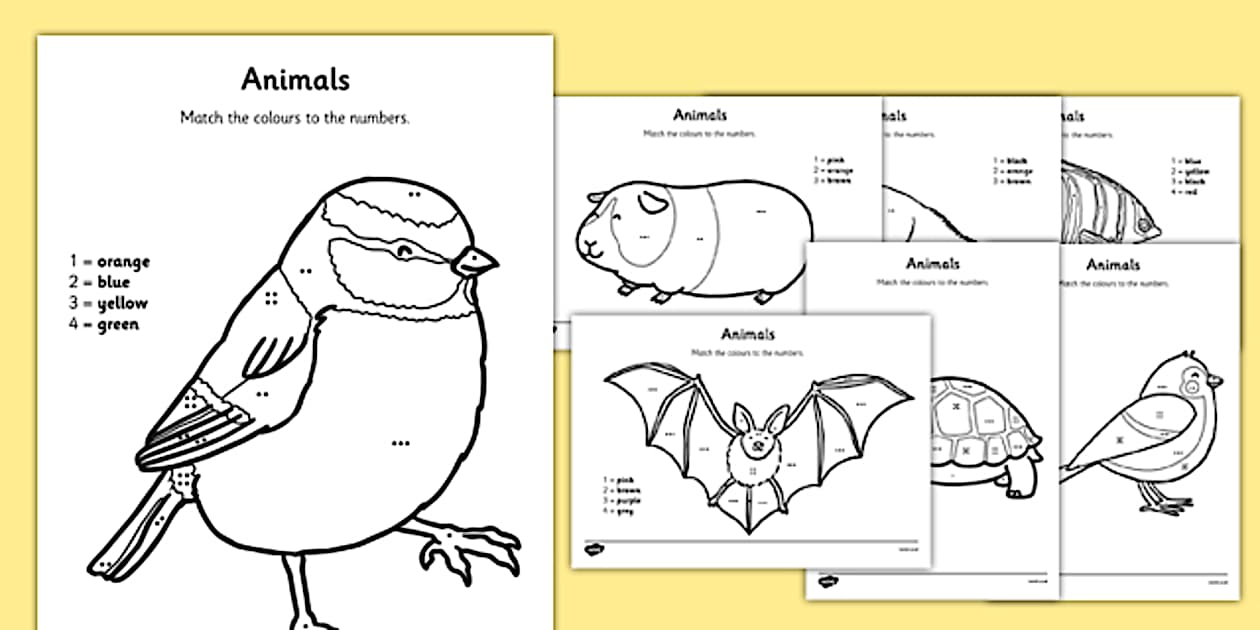 Animal Colour by Number Worksheets | EYFS Primary Resources